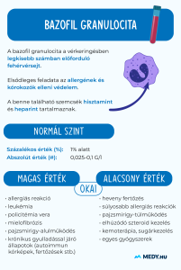Bazofil granulocita: mit jelent a magas és alacsony érték?
