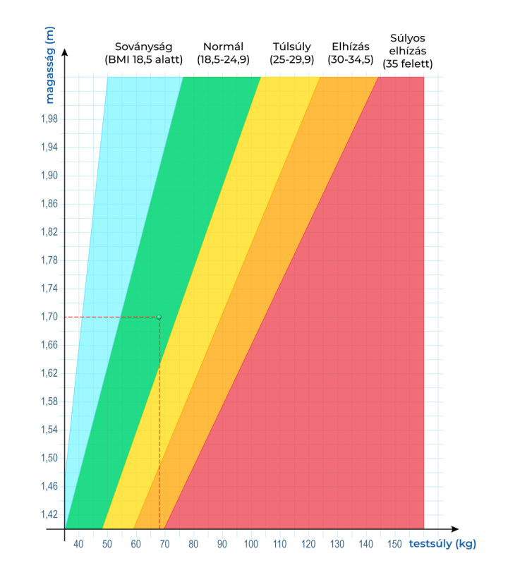 BMI Kalkulátor: Számítsd ki a testtömegindexed!